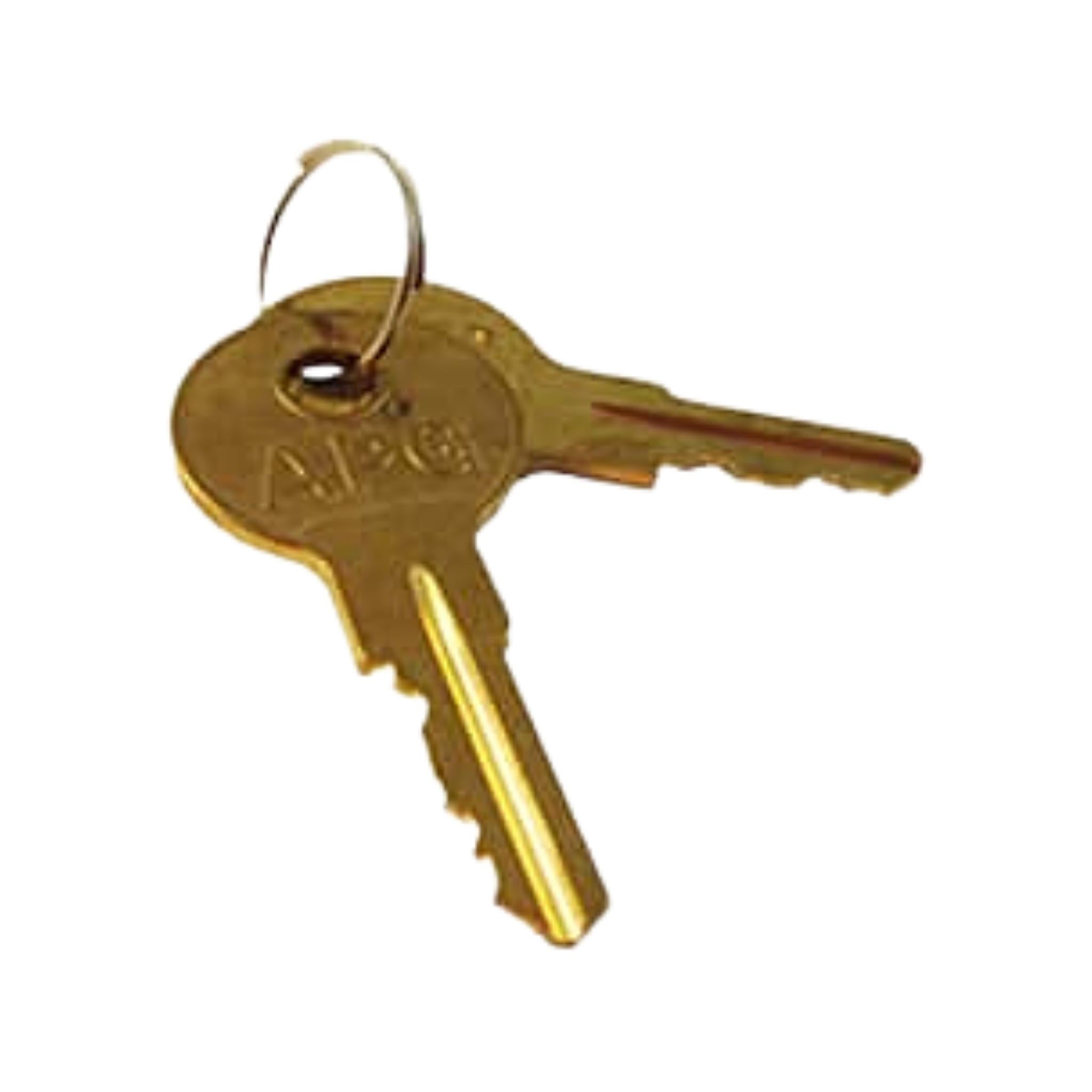 Cash Drawer Key | APG Key Set